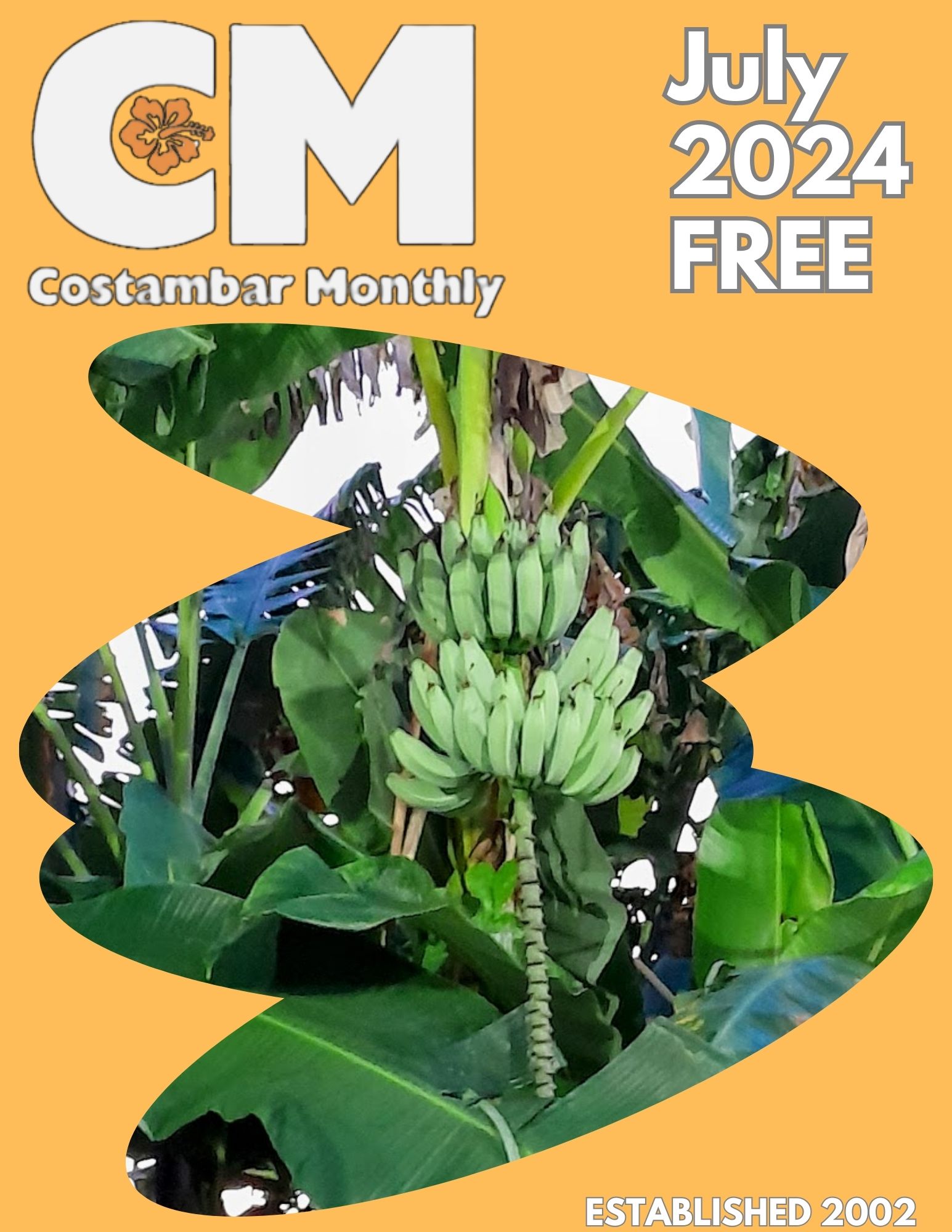 CM – Page 2 – Costambar Monthly